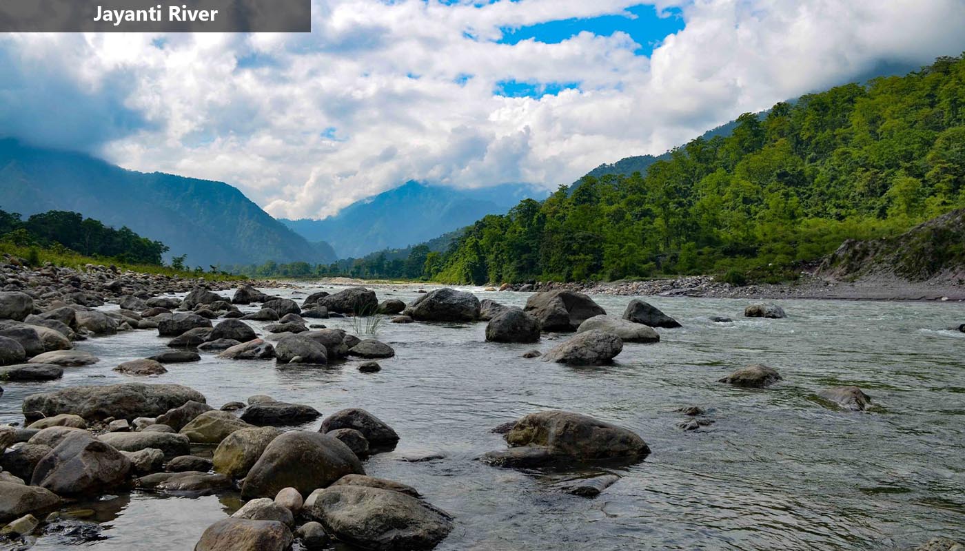 The Perfect 5-Day Dooars Tour Plan for Nature Enthusiasts